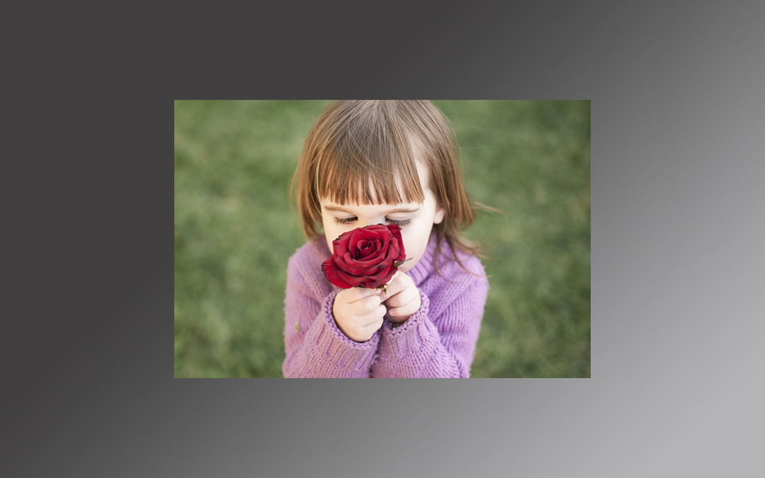 Four Ways Draper Helps You Breathe Easier - Draper, Inc. Blog